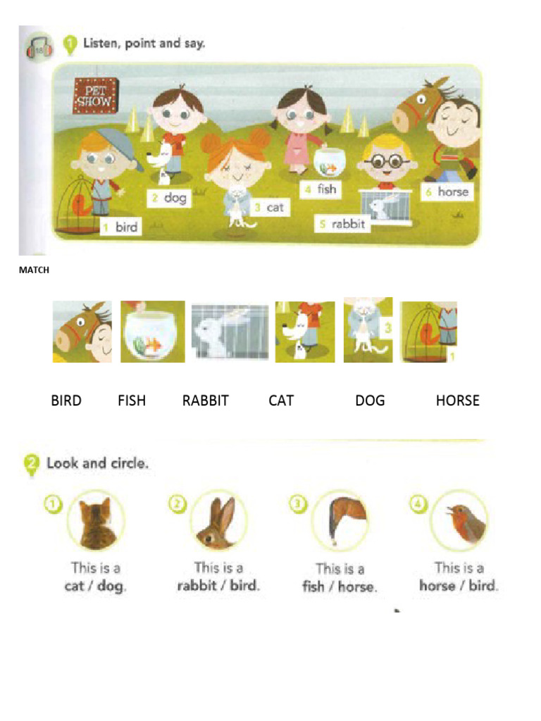 Animals Part 1 | PDF