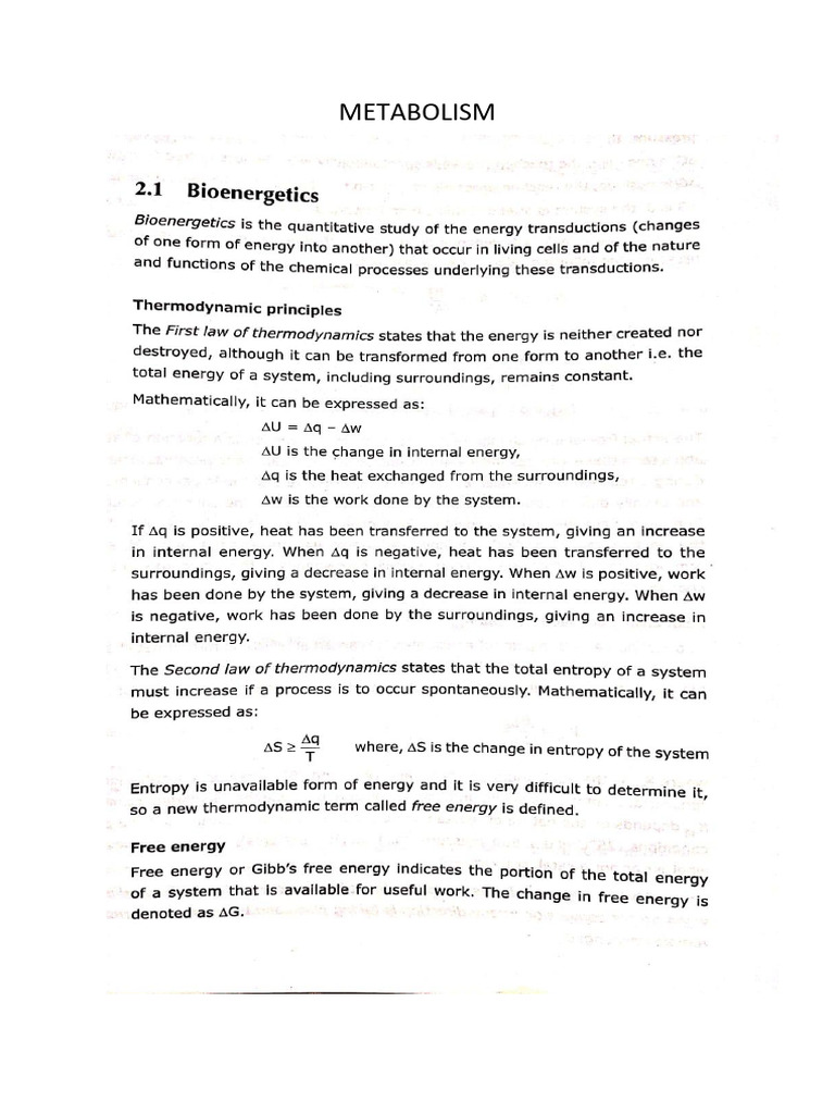 Metabolism Notes | PDF