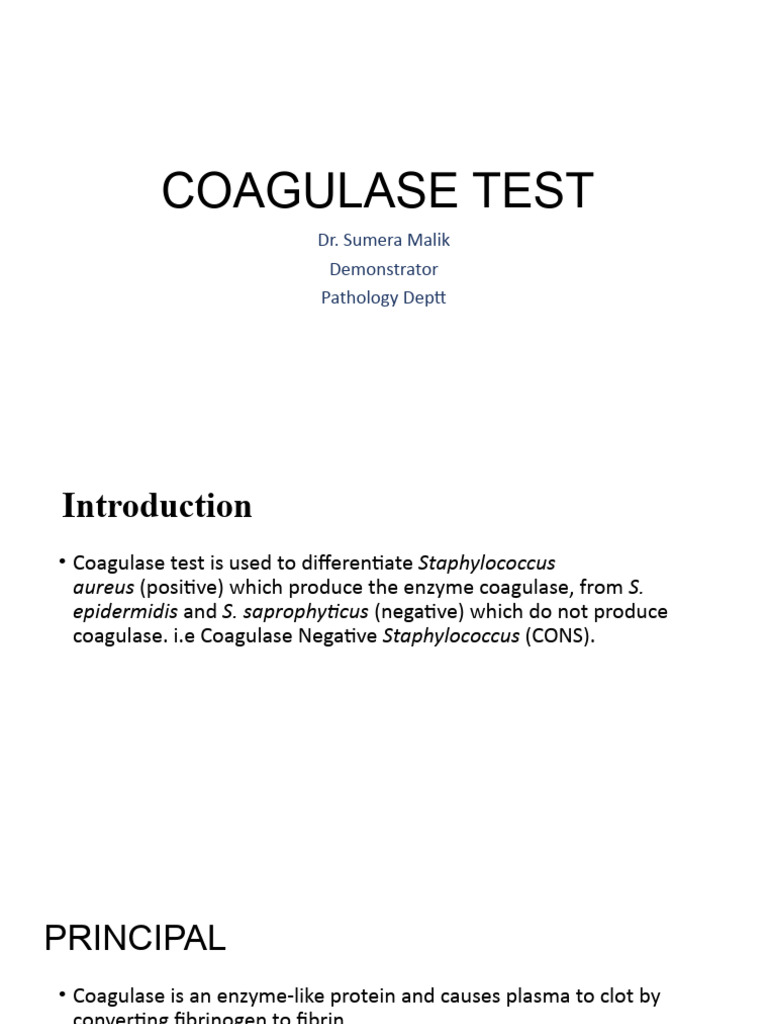 Coagulase Test | PDF | Microbiology | Biology