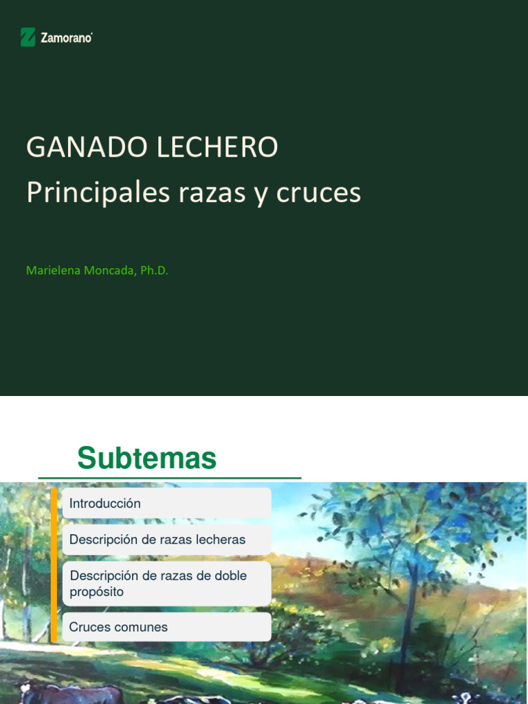2024 Ganado Lechero II Razas y Cruces | PDF | Vacas | Etnobiología