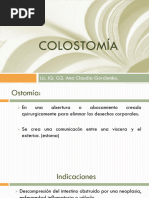 C 37 Cecostomia Colostomia | PDF | Intestino grueso | Abdomen