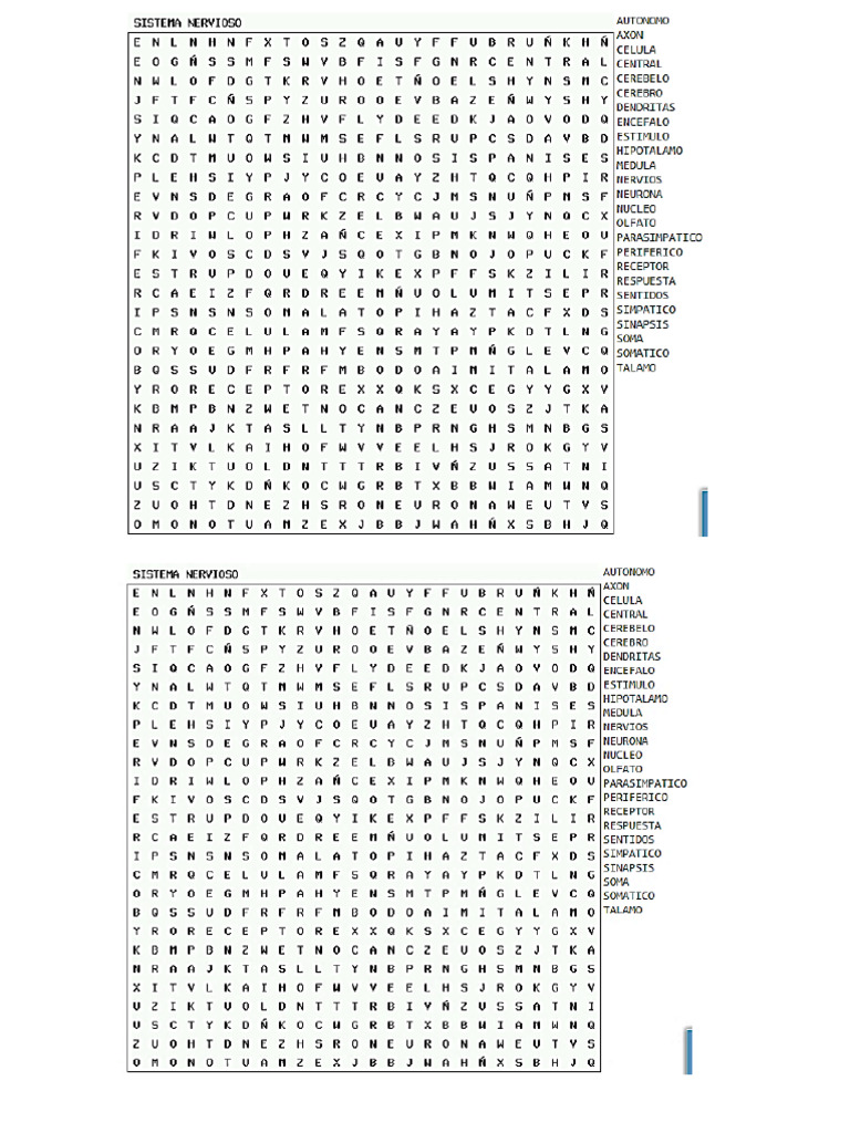 Sopa de Letras Sistema Nervioso | PDF