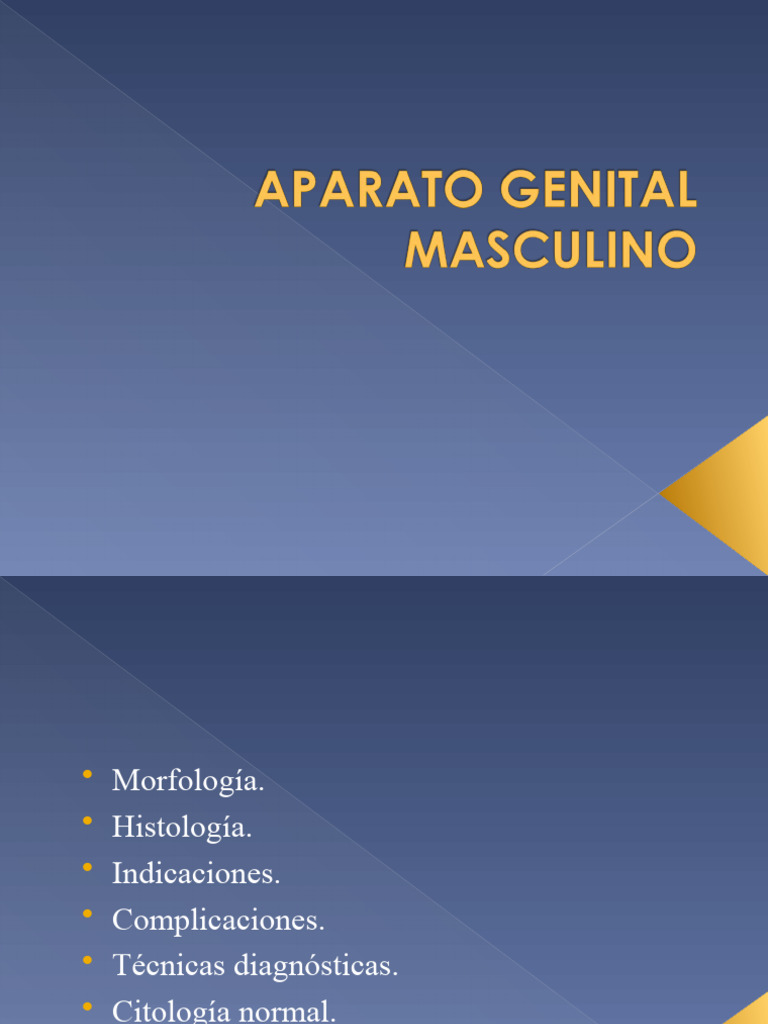 PRÓSTATA | PDF | Próstata | Inflamación