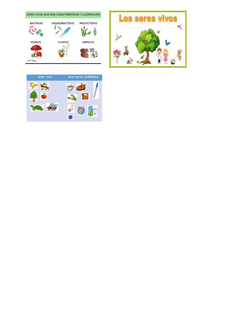 Microsoft Word - Documento1 | PDF