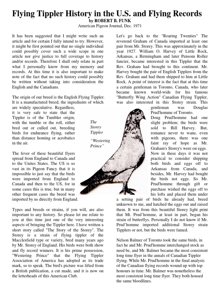 Flying Tippler History in The U.S. and Flying Records | PDF | Birds ...