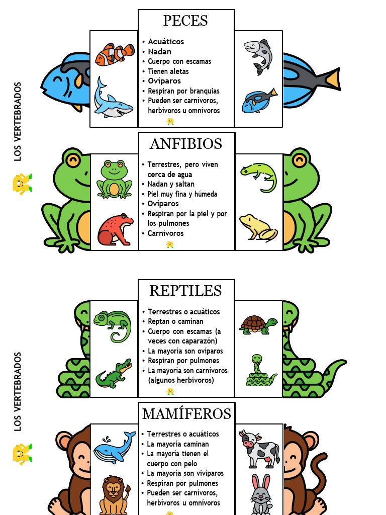 Clasificación de Vertebrados: Peces, Anfibios, Reptiles, Mamíferos y ...