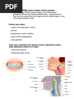 A. Przystańska - Anatomia - Jama Nosowa I Zatoki Przynosowe | PDF