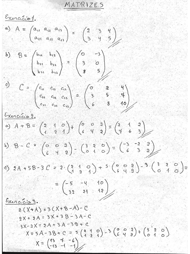 Matrizes Exercícios | PDF
