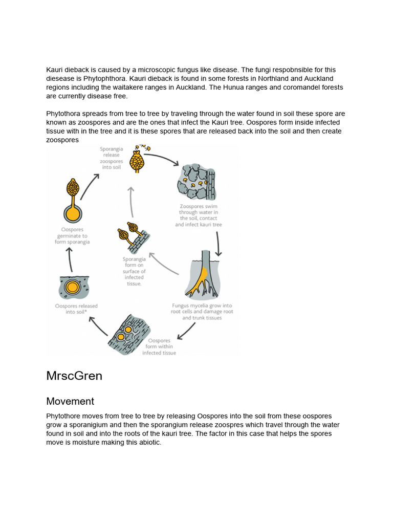 Science Notes (Kauri Dieback) | PDF | Technology & Engineering