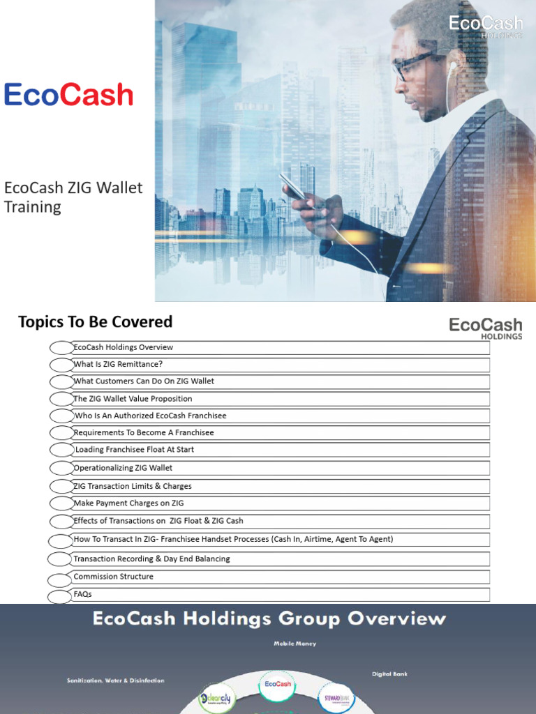 EcoCash ZIG Wallet Overview and Guide | PDF | Cash | Personal ...