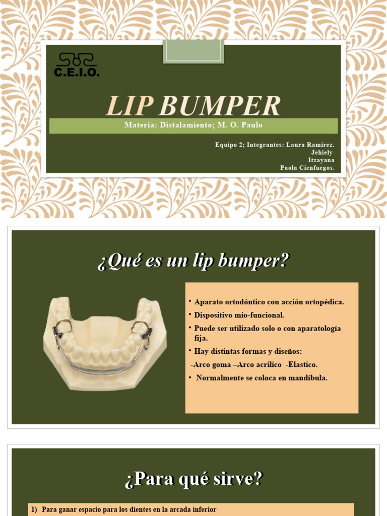 Lip Bumper | PDF | Boca | Ramas de Odontología