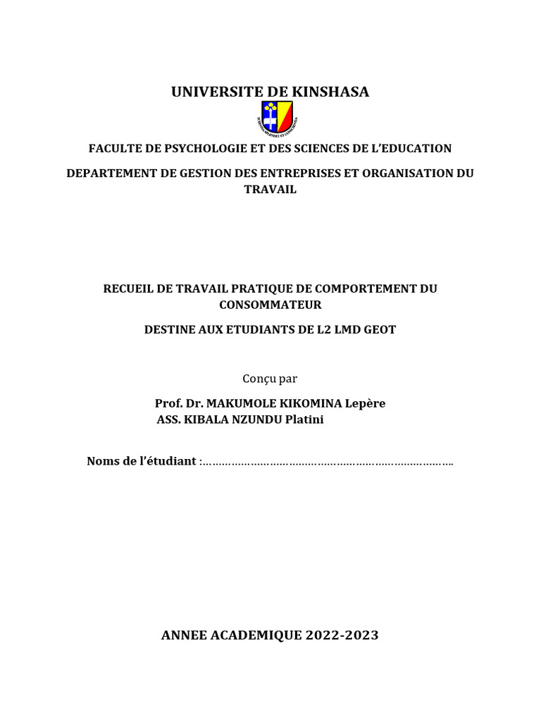Travail Pratique de Comportement Du Consommateur L2 LMD Geot 2023 | PDF