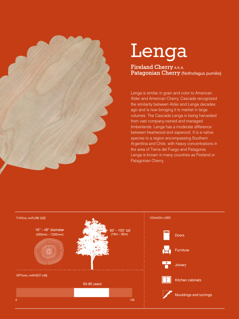Lenga by Cascade en | PDF | Trees