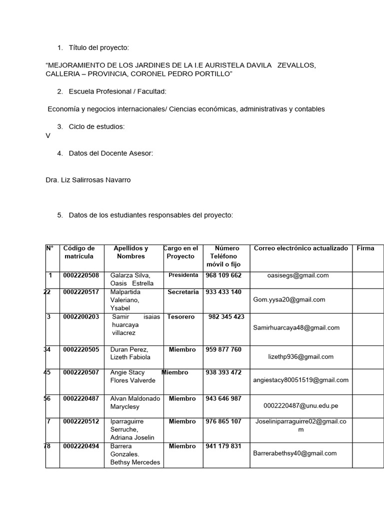 Formato 4 - RSE | PDF | Residuos | Reciclaje