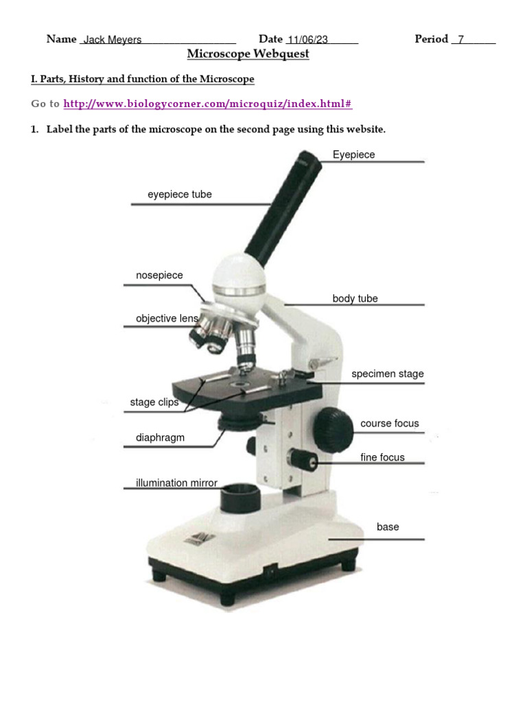 Microscope Basics for Students | PDF | Microscope | Glass Engineering And Science