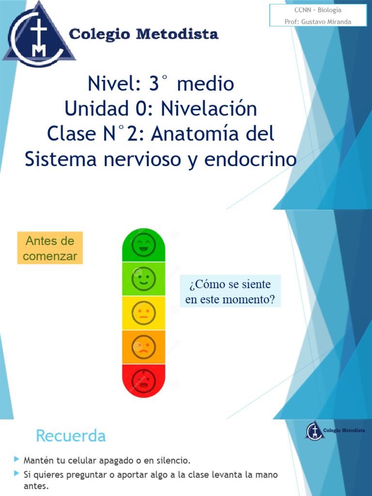 Anatomia SNC y SNP | PDF | Sistema nervioso | Sistema nervioso central