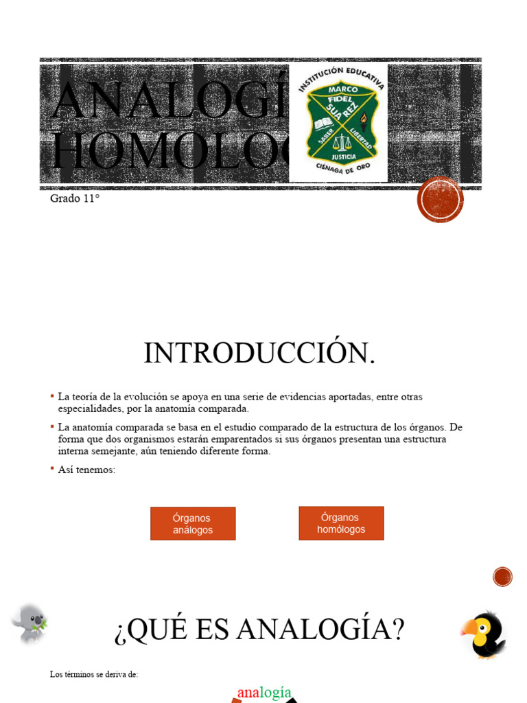 Analogía y Homología | PDF | Evolución | Homología (biología)