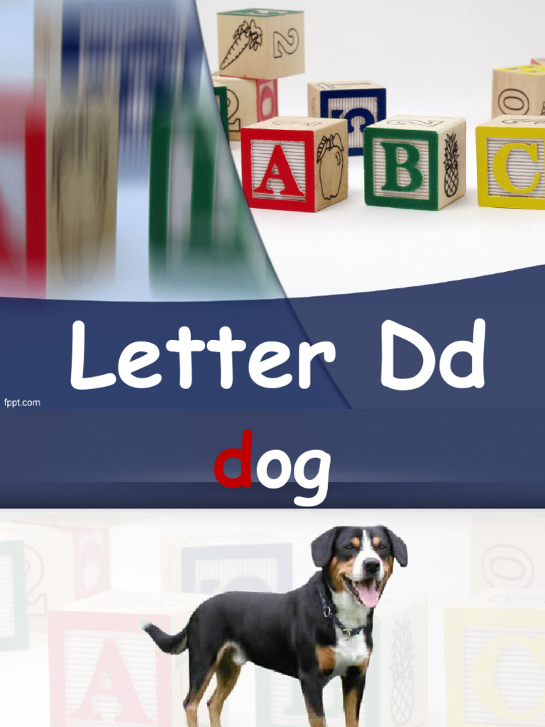 Letter D Vocabulary List | PDF
