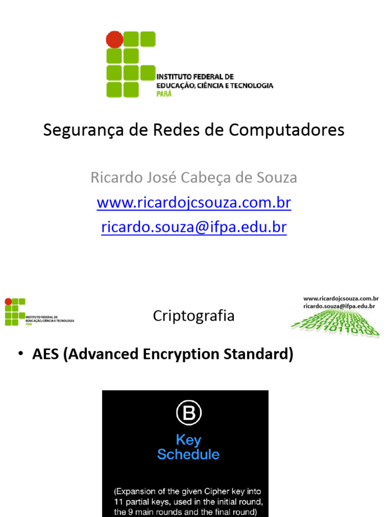 Segurança em Redes e Criptografia AES | PDF | Criptografia ...