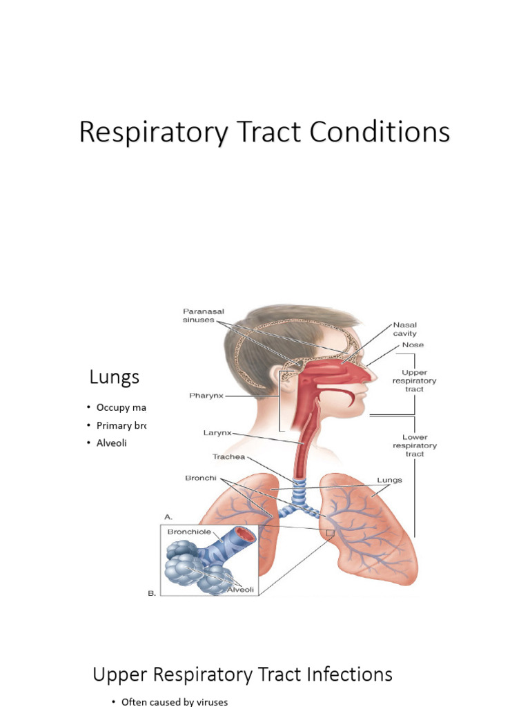 Overview of Respiratory Tract Conditions | PDF | Pneumonia | Bronchitis