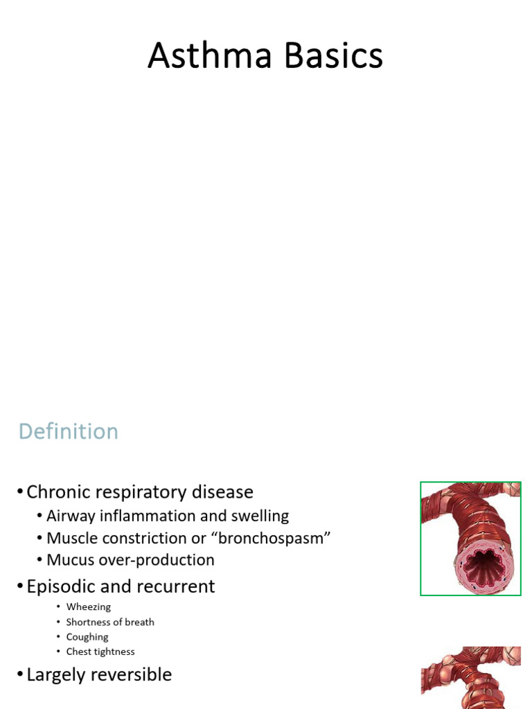 Asthma Basics | PDF | Asthma | Cough