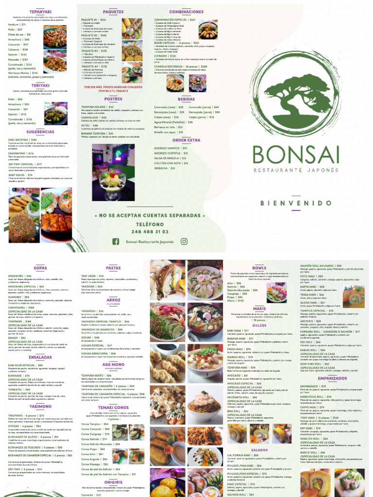 Bonsai Menú | PDF