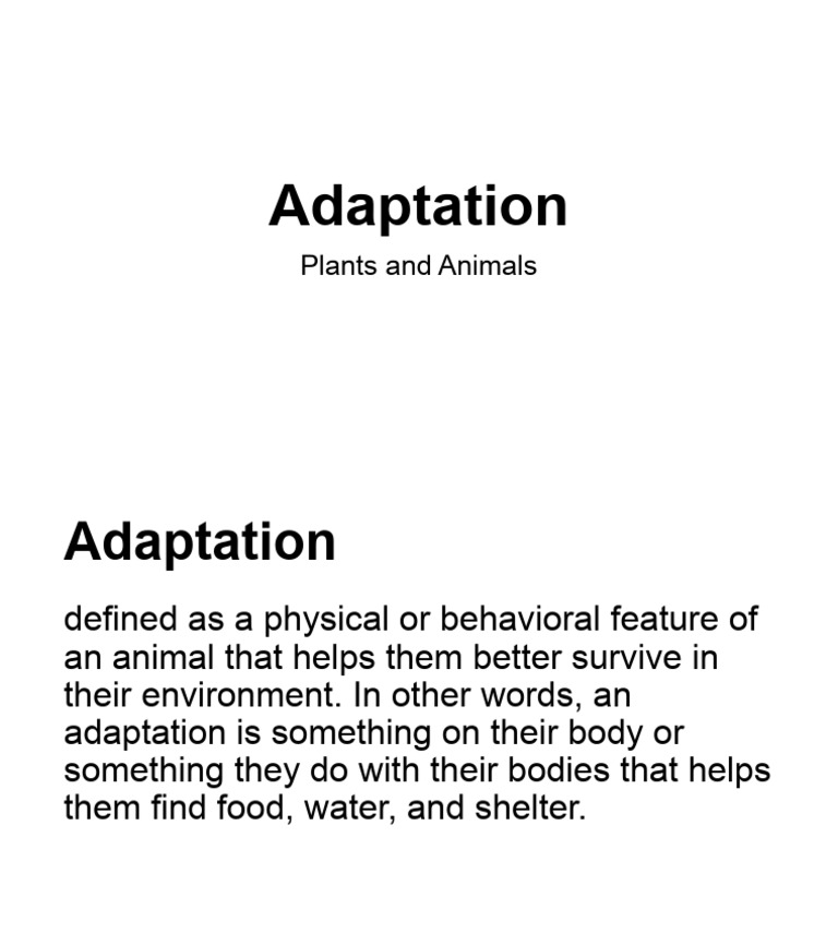 Adaptation | PDF