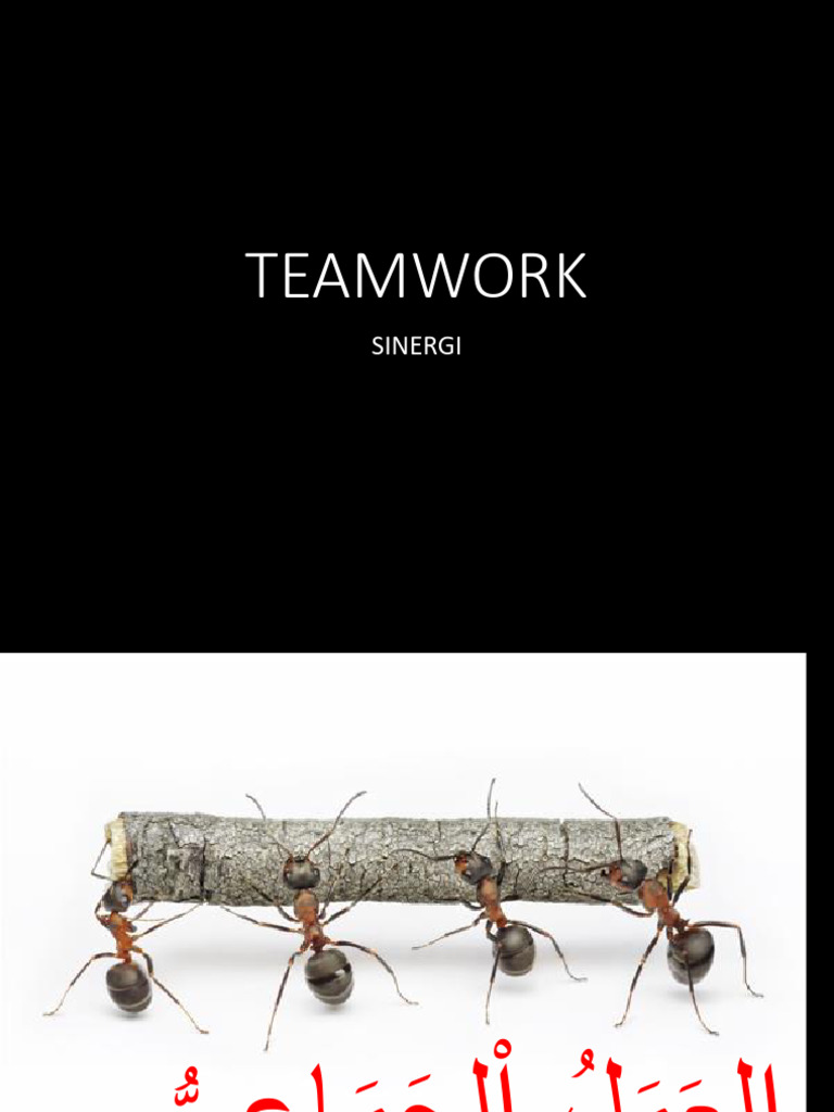 Sinergi TeamWork | PDF