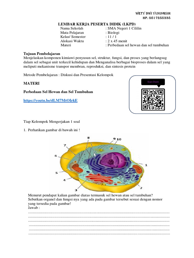 LKPD Perbedaan Sel Hewan Dan Sel Tumbuhan | PDF | Sains & Matematika