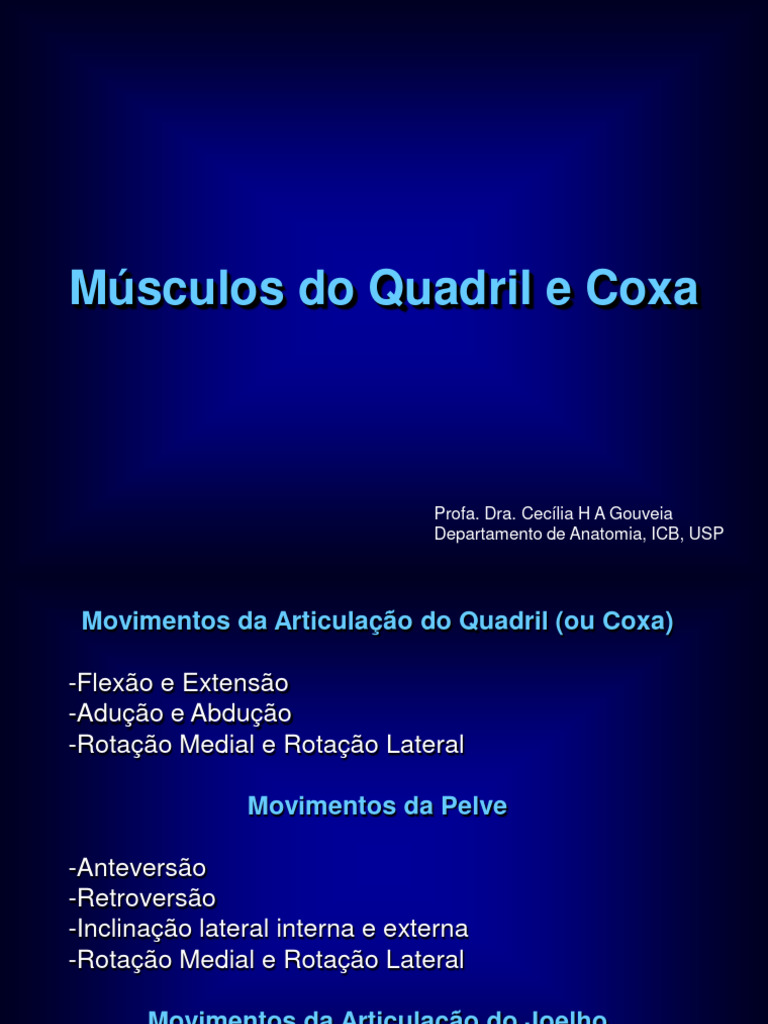 Complemento 02 - Músculos Cíngulo Do Quadril e Perna | Download grátis ...