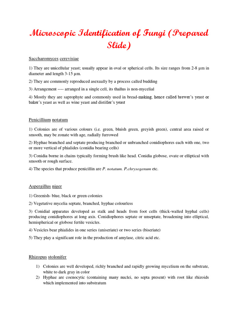 Microscopic Identification of Fungi_PDF | PDF