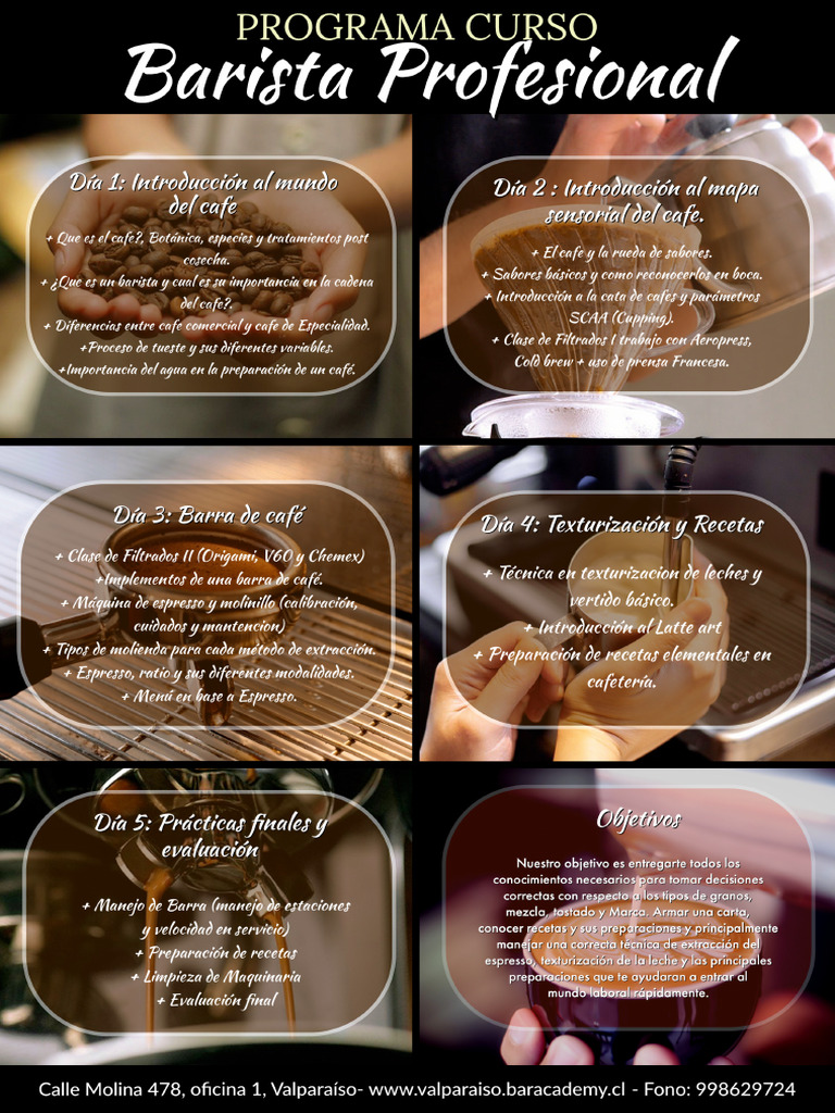 Programa Barista Profesional | PDF