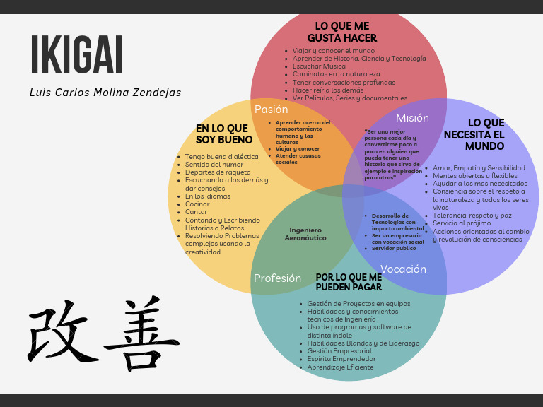 9726 Ikigai | PDF