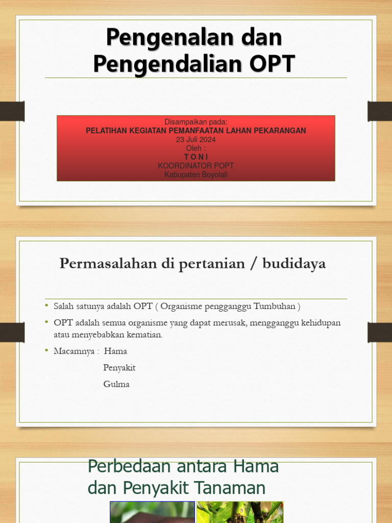 Pengendalian OPT pada Tanaman Kubis | PDF | Sains & Matematika