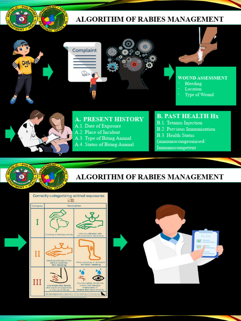 Rabies Management Summary | PDF | Rabies | Vaccines