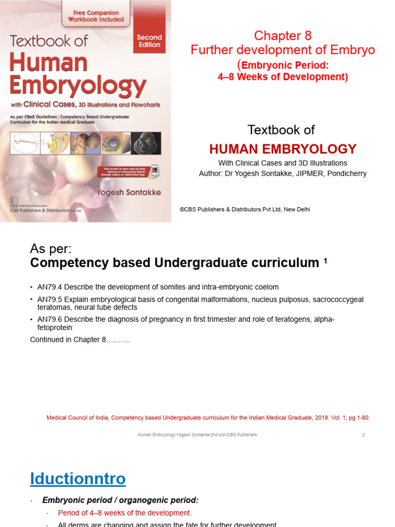 Embryonic Development: Weeks 4-8 Overview | PDF | Anatomy ...