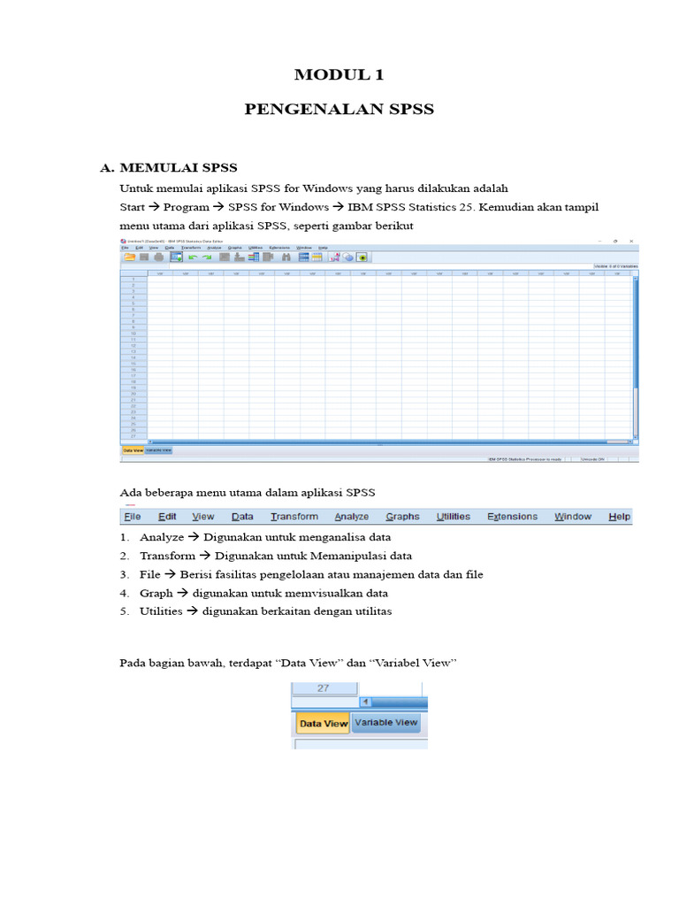 MODUL 1 - Pengenalan SPSS | PDF