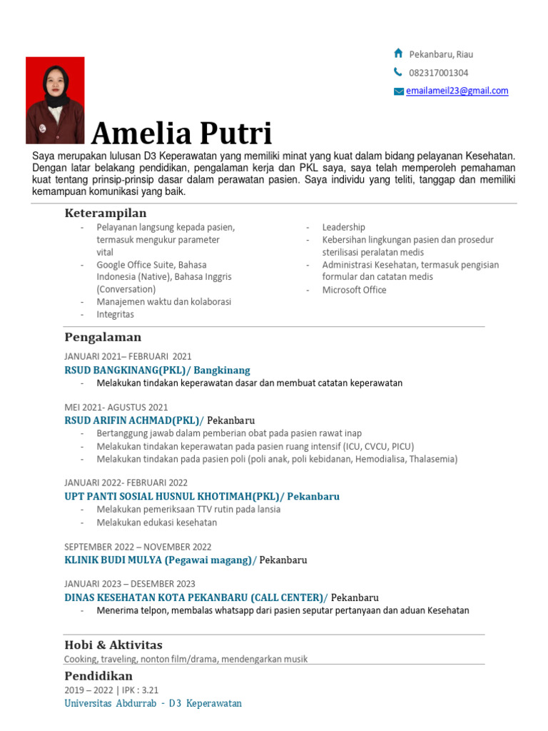 CV Amelia Putri | PDF