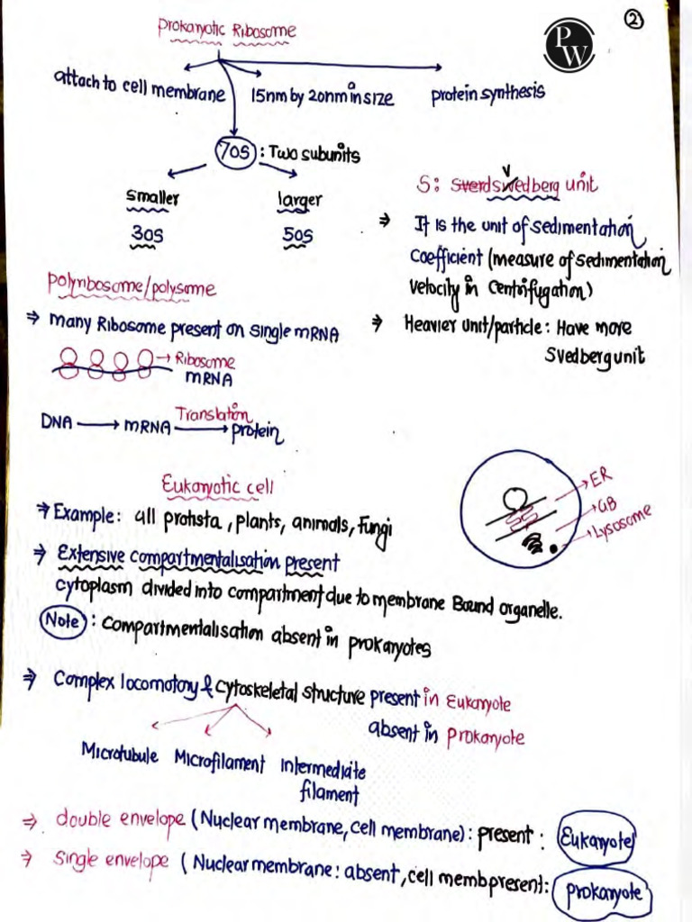 66589100657d750018bf5bdd - ## - Cell - The Unit of Life Handwritten ...