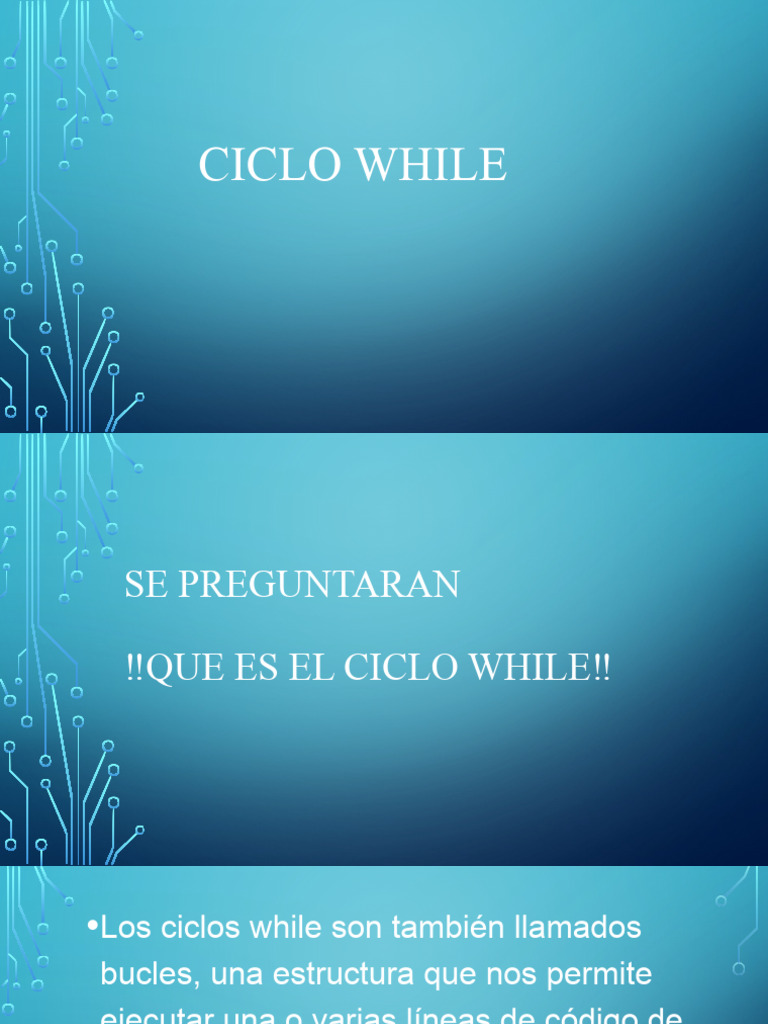Ciclo While | PDF | Lenguaje de programación | Ingeniería Informática