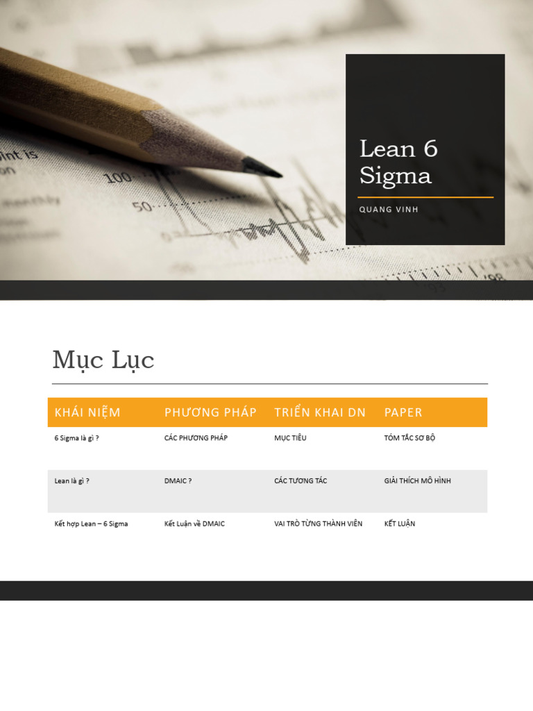Lean 6 Sigma | PDF