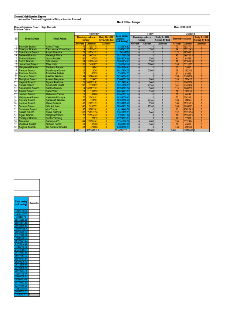 Daily Reporting Saving111 | PDF
