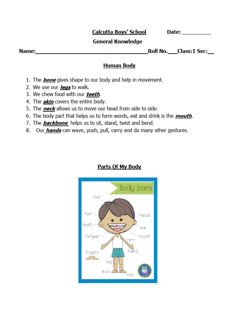 Human Body Basics for Kids | PDF