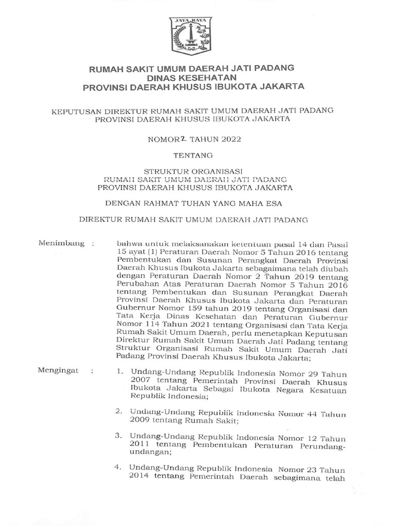Kepdir No 2 THN 2022 Tentang Sotk Rsud Jati Padang | PDF
