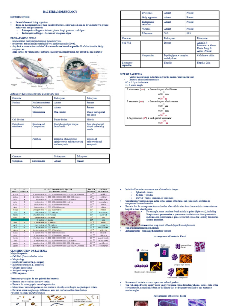 Midterm MC3 Bacteria Morphology Edited | PDF | Bacteria | Cell (Biology)