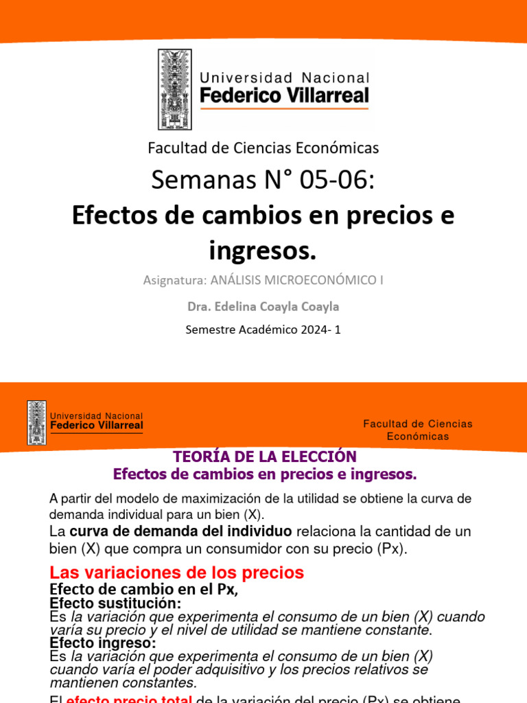 CLASE 5-6. MICRO I Efectos de Cambios en Precios e Ingresos | PDF ...