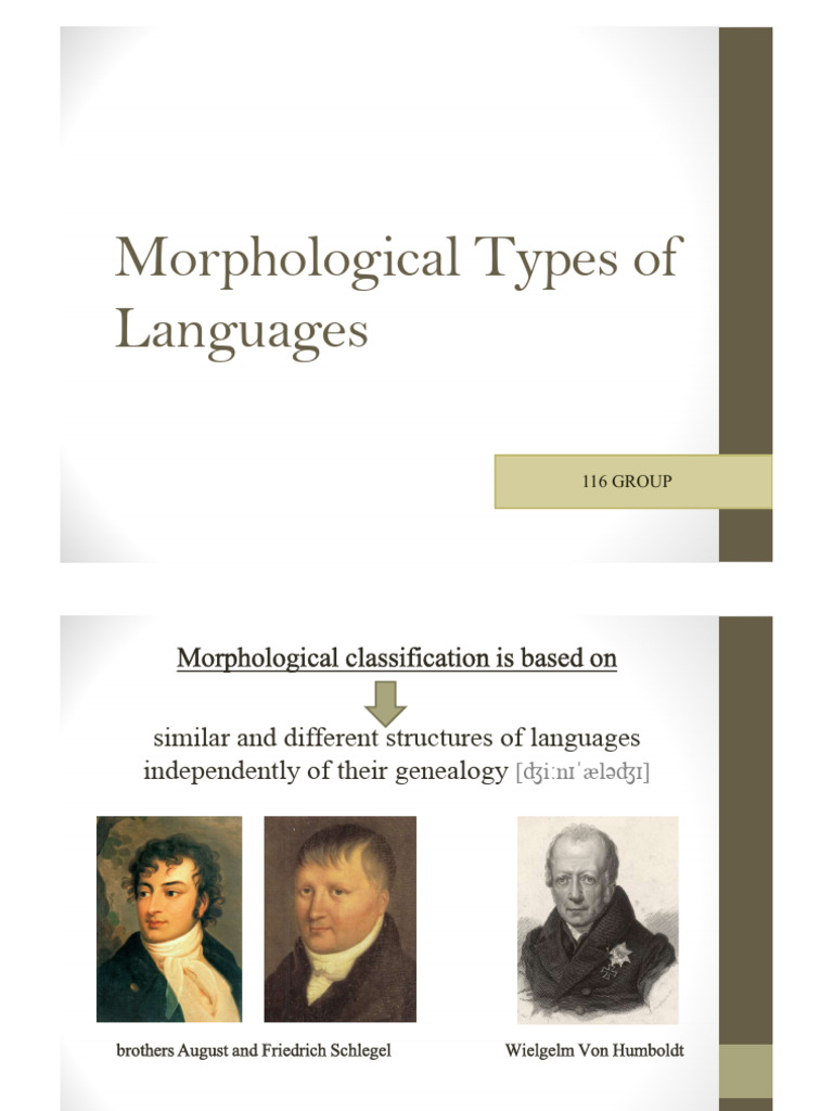 Morphological Types of Languages | PDF | Morphology (Linguistics) | Syntax