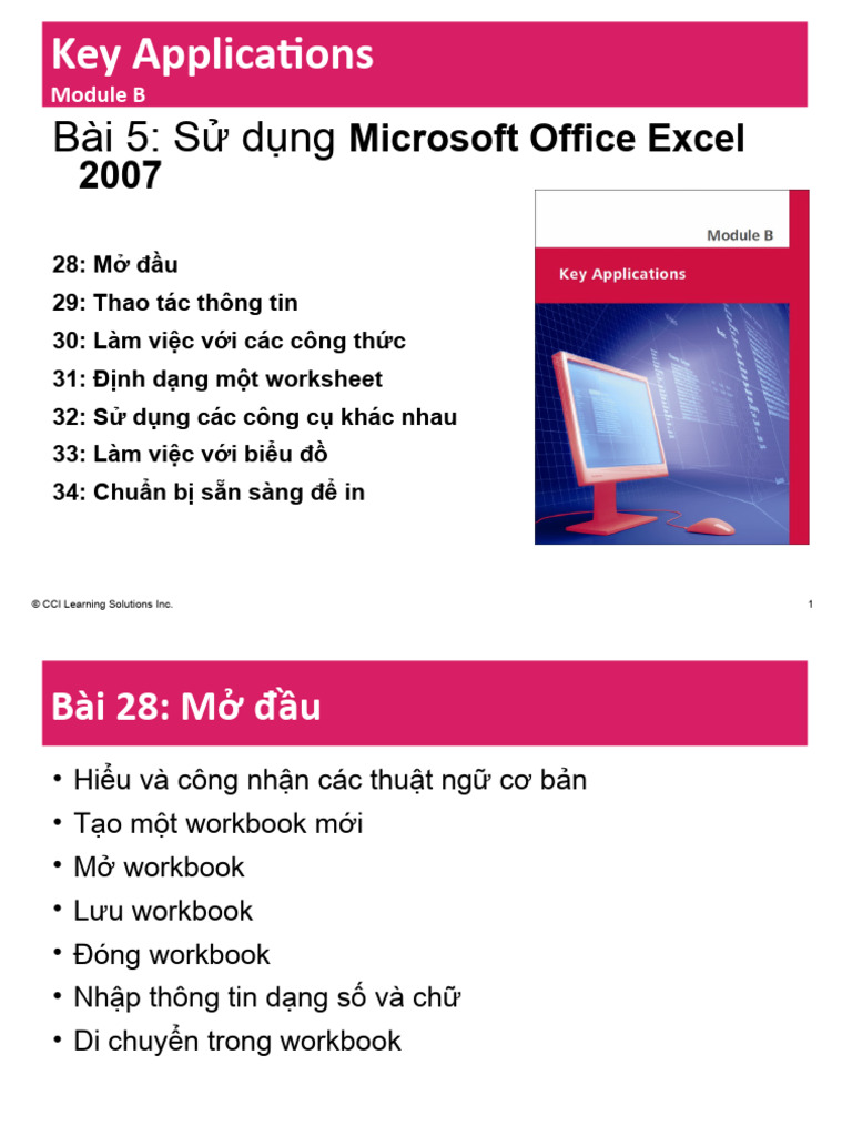 Unit 5 Using Microsoft Office Excel 2007 - Vie | PDF