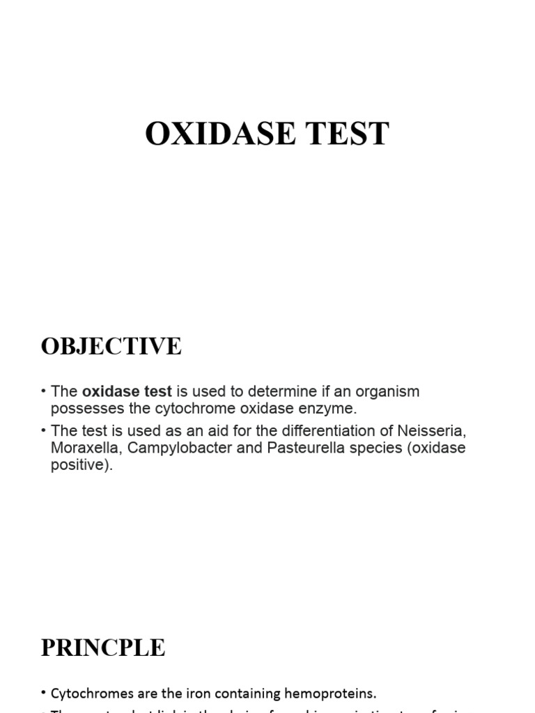 Oxidase Test | PDF | Biology