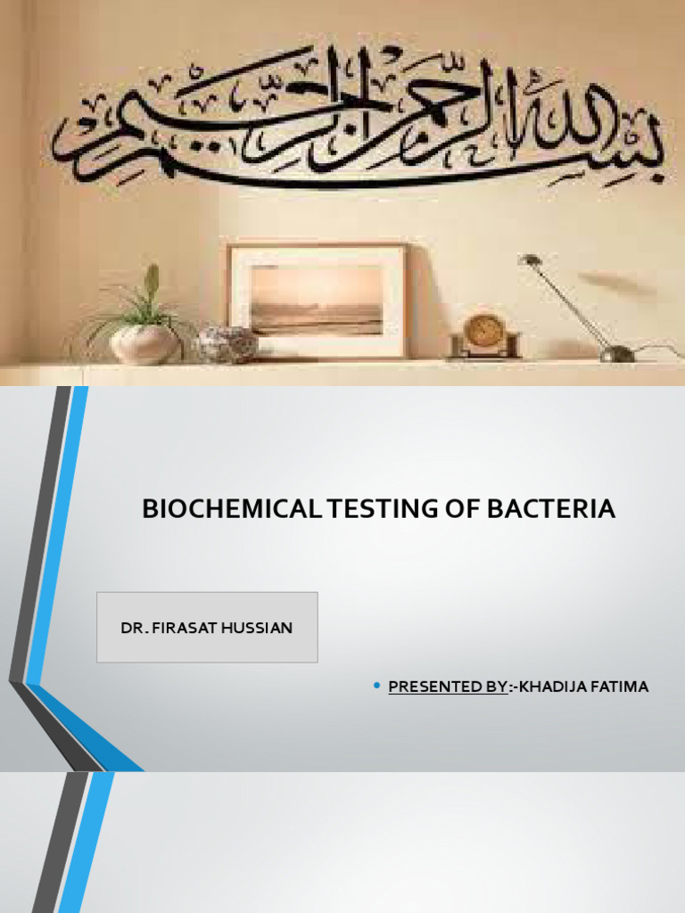 Biochemical Test | PDF | Catalase | Microbiology